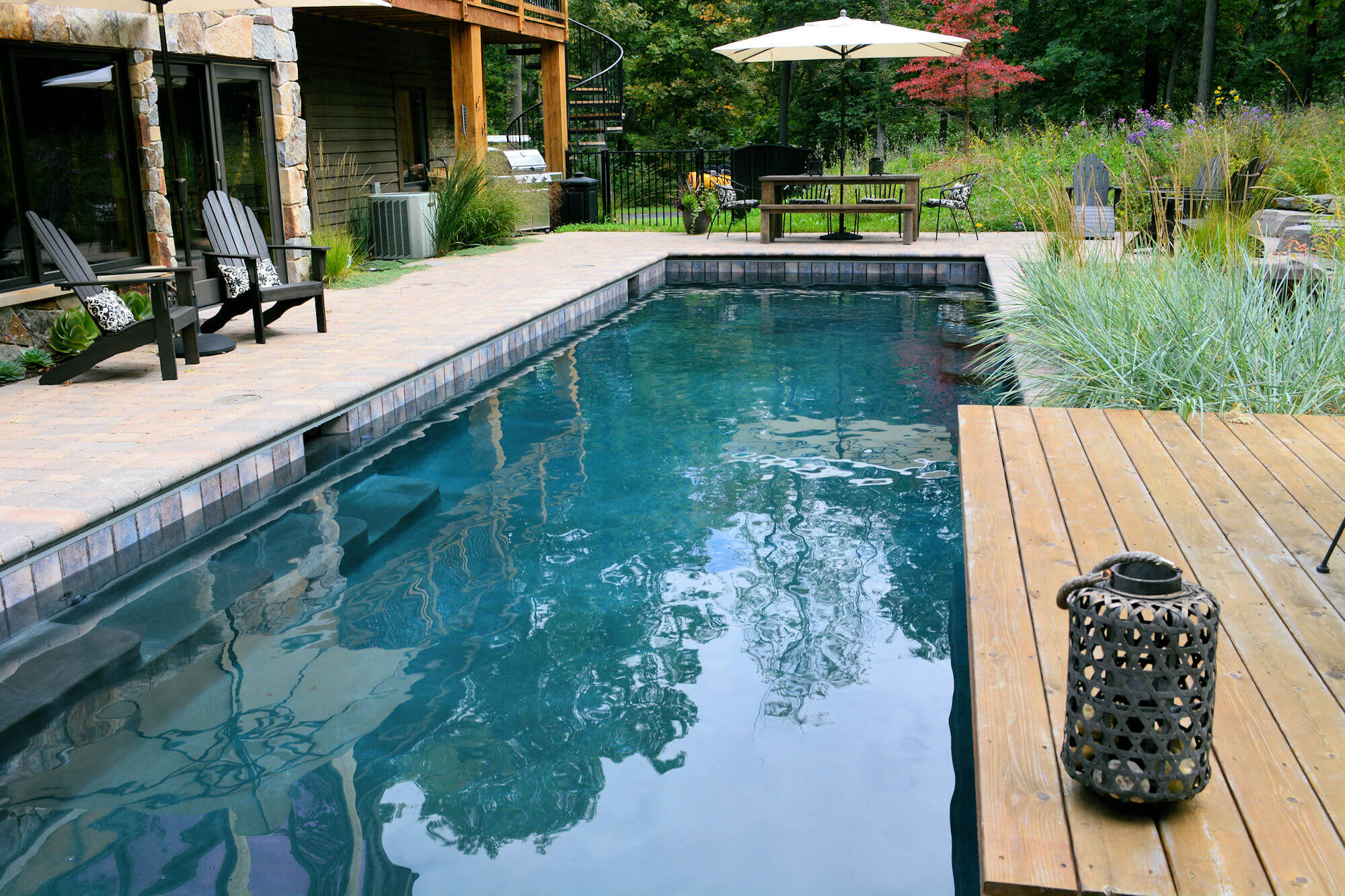 Our Favorite Product? Meet BioGuard Optimizer | Arivdson